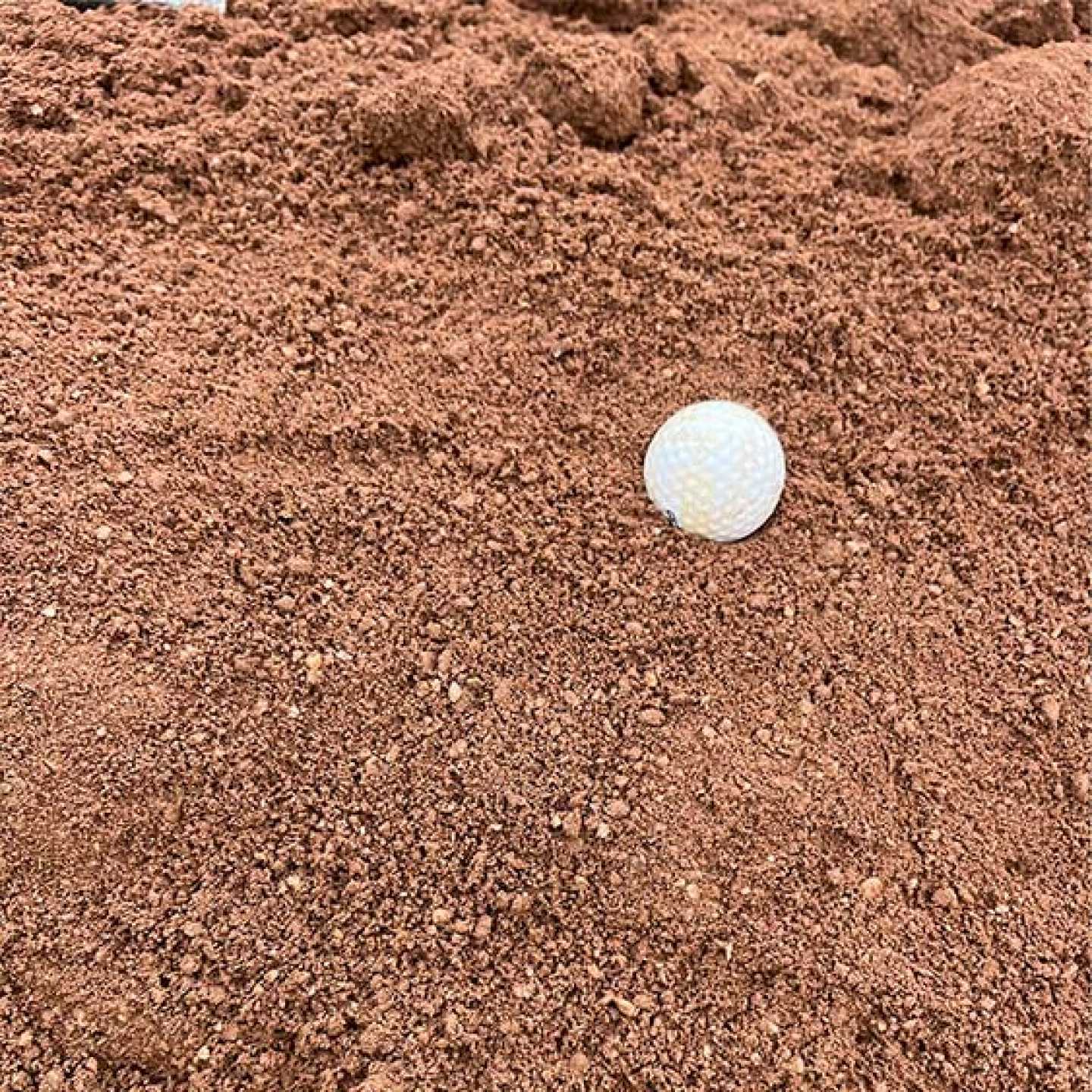 Infield Mix | Landscape Materials